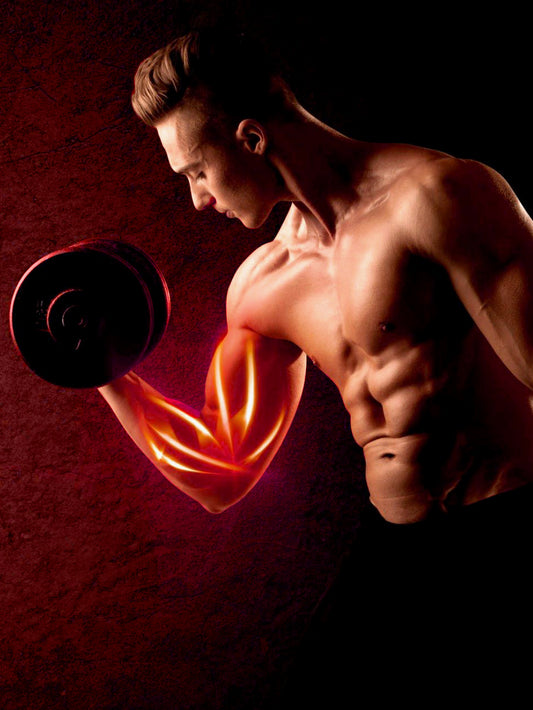 The EnergyLounger - Recharge your Body